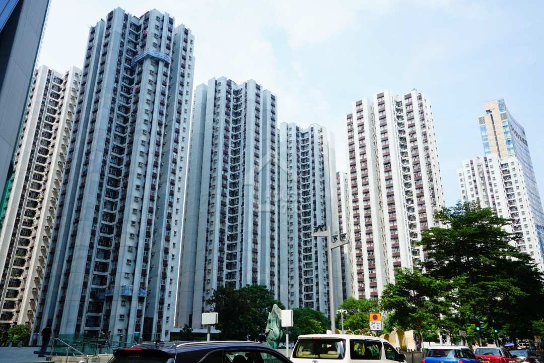 Taikoo Shing | Taikoo Shing | Estate Info - House730