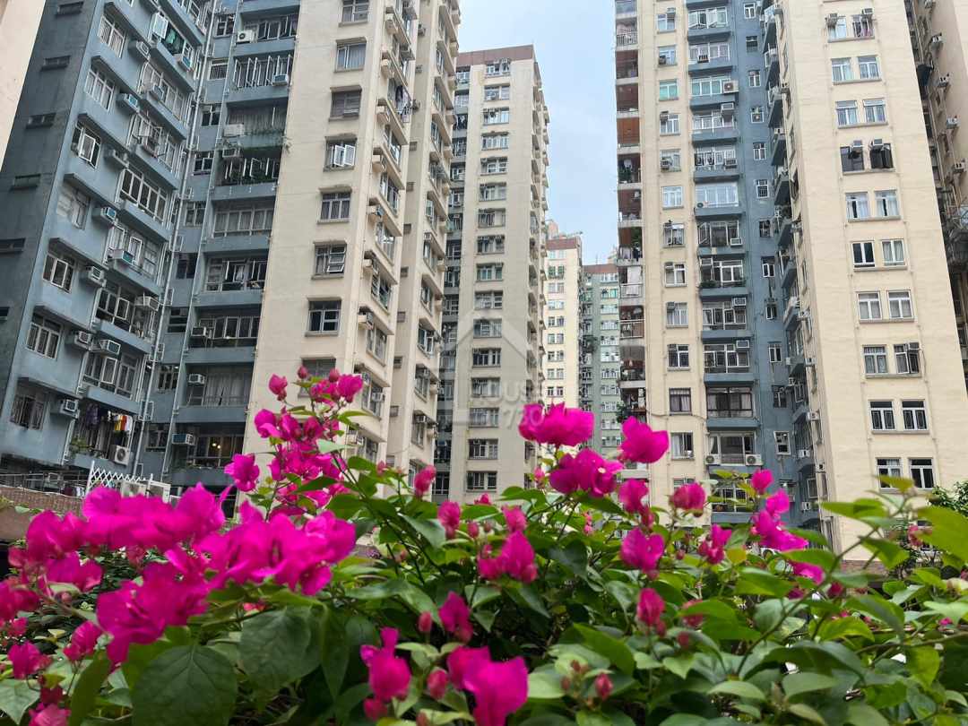 MEI FOO SUN CHUEN | 美孚 | 8397093 | 售盤 - House730
