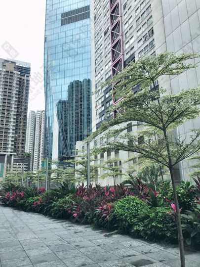 Taikoo Shing | Taikoo Shing | 8519751 | Rent - House730