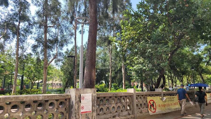 Mei Foo | Wonderland | Mei Foo Sun Chuen | 8798735 | Sale - House730